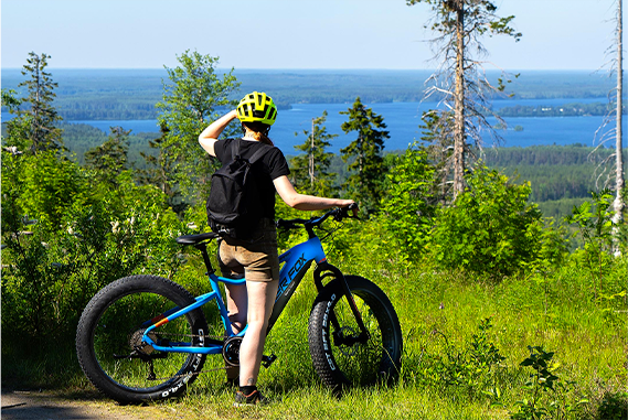 The rolling Giant can´t be covered by moss – Arctic Giant